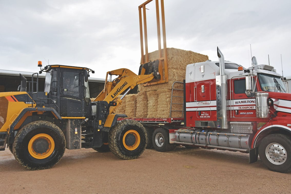 Hamilton's Transport: Growing with LiuGong