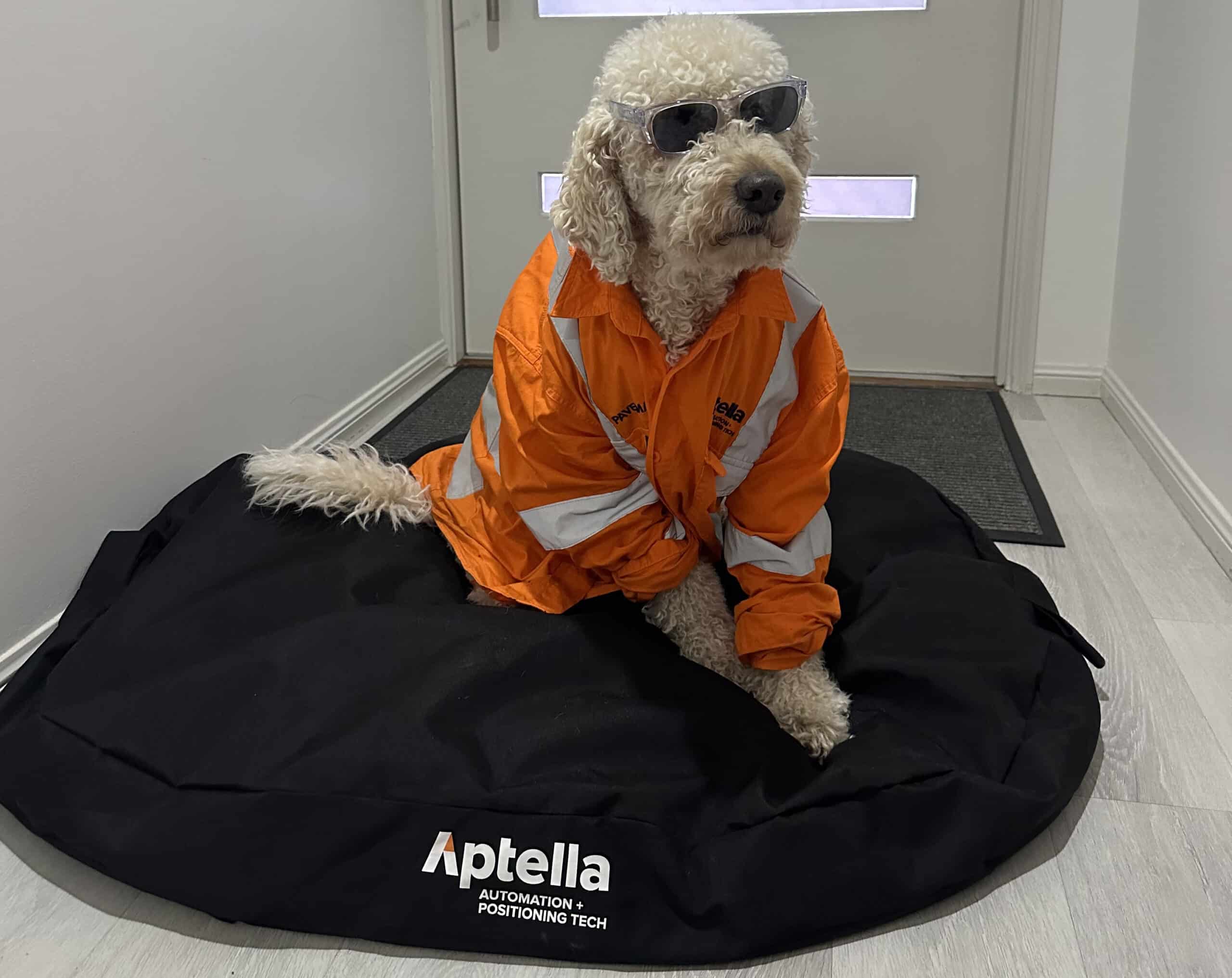 Uniforms rebranded into dog beds